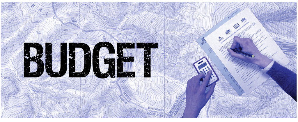 MYBUDGET ONLINE MANAGEMENT SYSTEM
